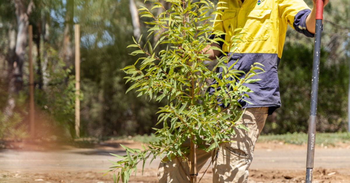 Valuing Nature | Community Vision